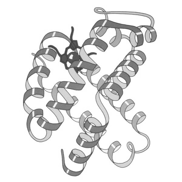 What are all those squiggly lines you keep showing us? (How to “Read” a ...