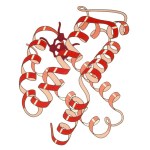 What are all those squiggly lines you keep showing us? (How to “Read” a ...