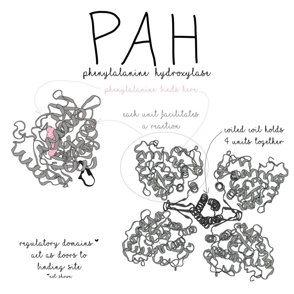 Meet PAH! – Science Magnifies